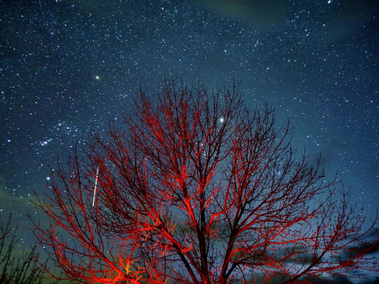 What is the Red Light for on a Headlamp | 9 Amazing Ways Red Light ...